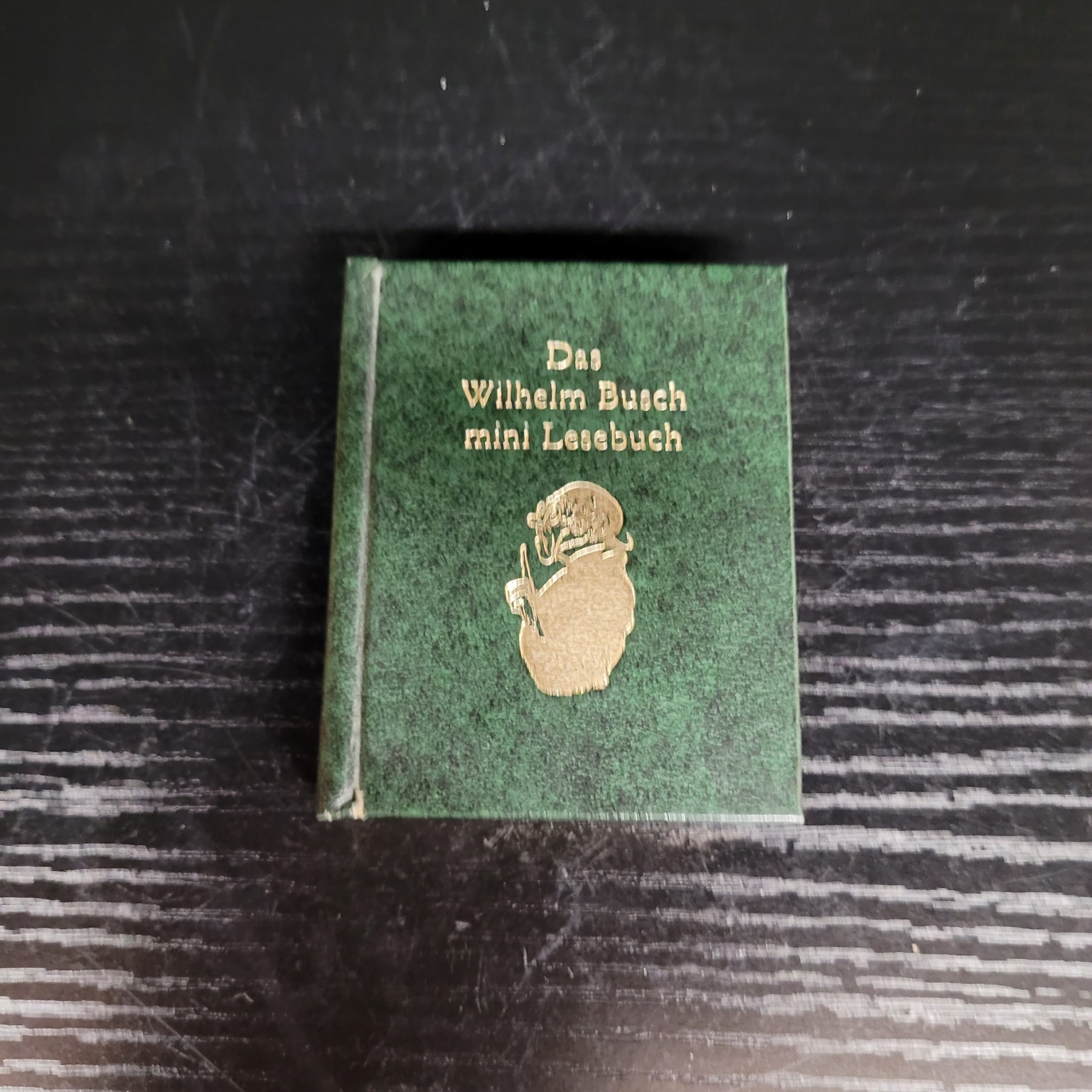 Das Wilhelm Busch Mini Lesebuch (SELTEN) - moebellagernord.de